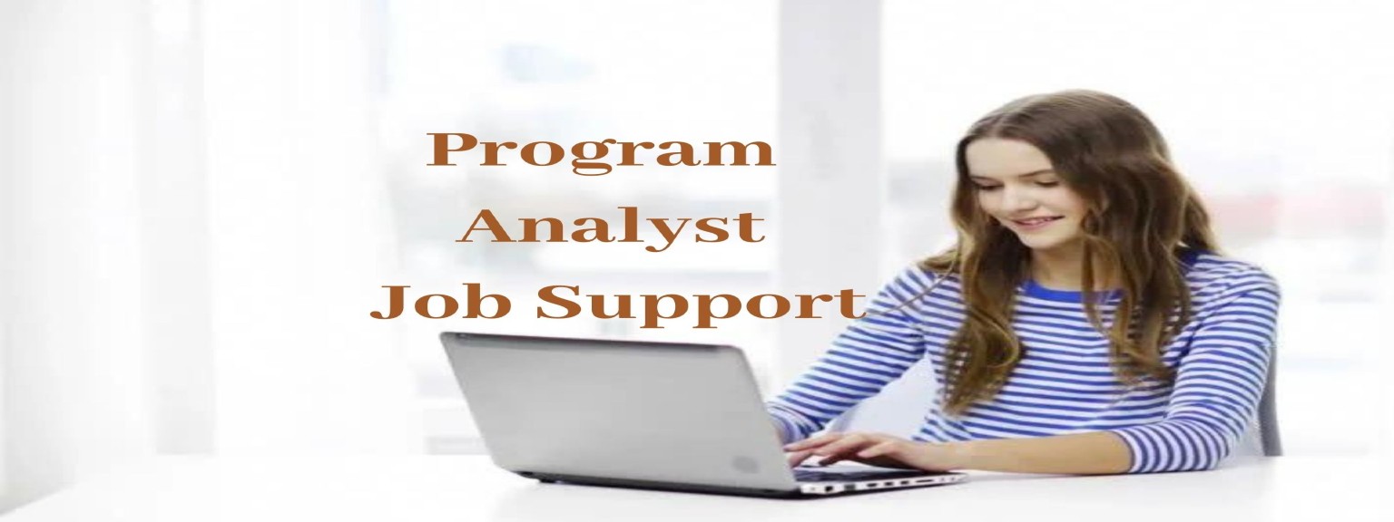Program Analyst Job Support | Program Analyst Online Job Support